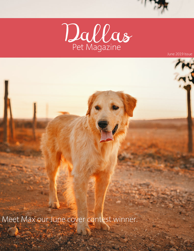 Community Magazine Photographer Kit - BP4U Photographer Resources