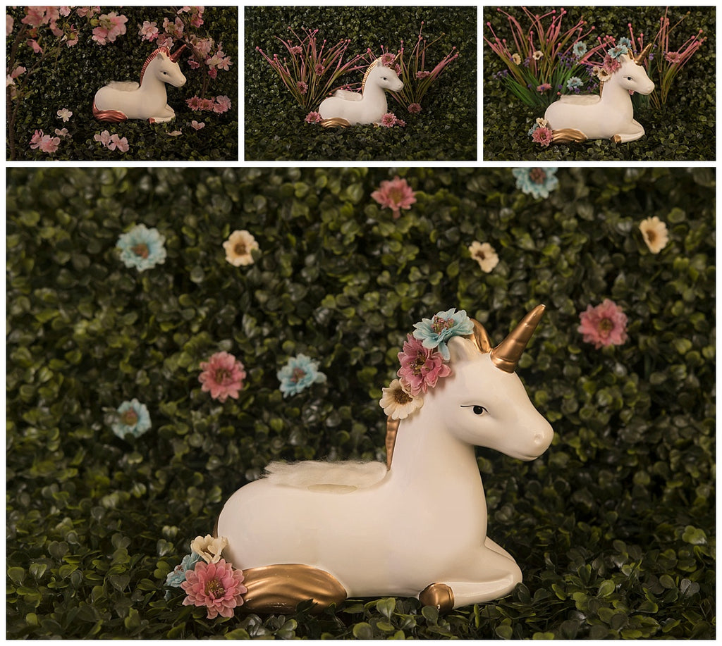 *BRAND NEW* Digital Newborn Background Bundle for Newborn Girls - BP4U ...