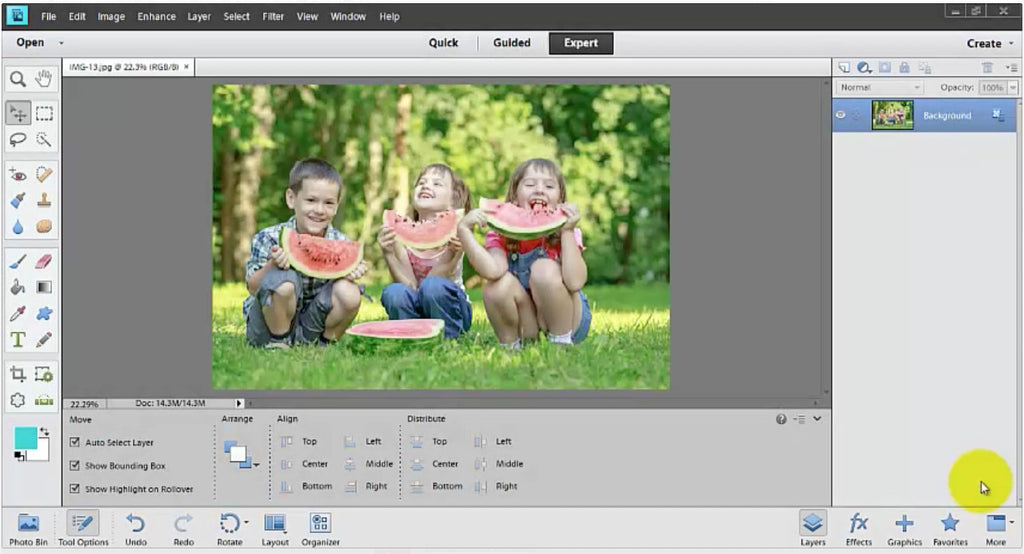 The Beginner's Guide to Using Photoshop Elements - BP4U Photographer ...
