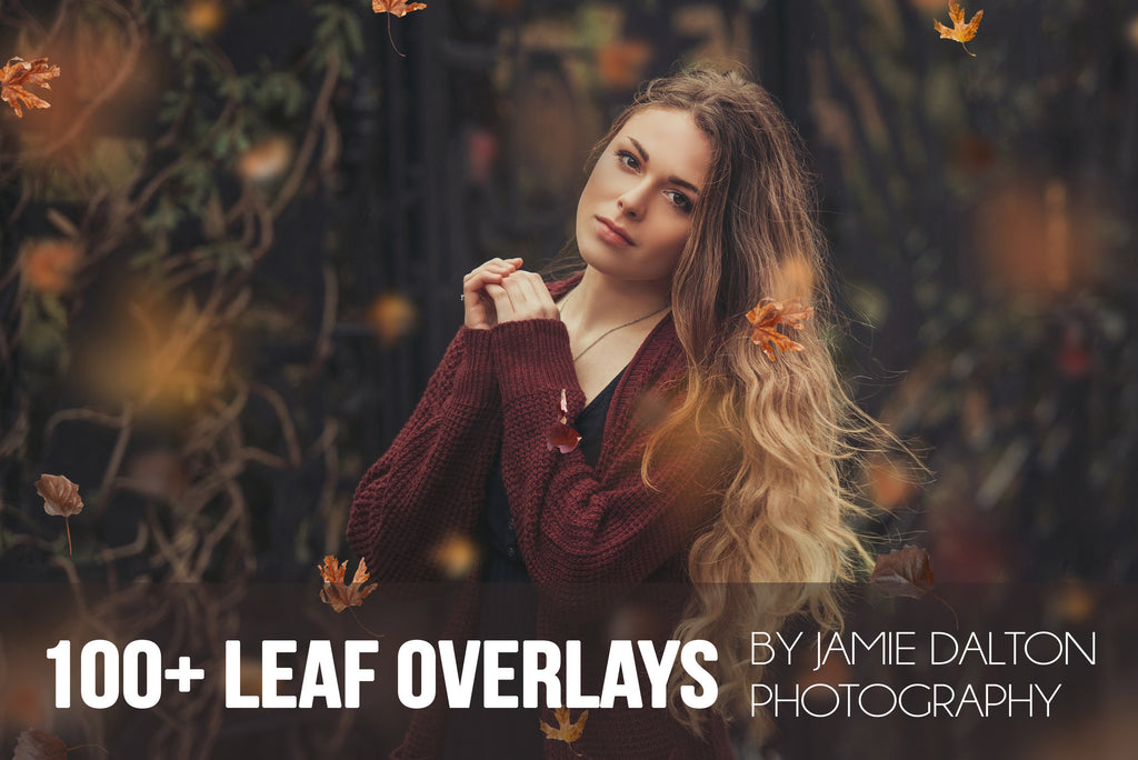 1,428 Photo Overlays Bundle - BP4U Photographer Resources